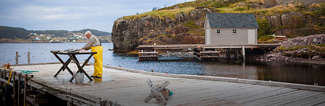 Two Days in Trinity - Newfoundland & Labrador Travel Itinerary